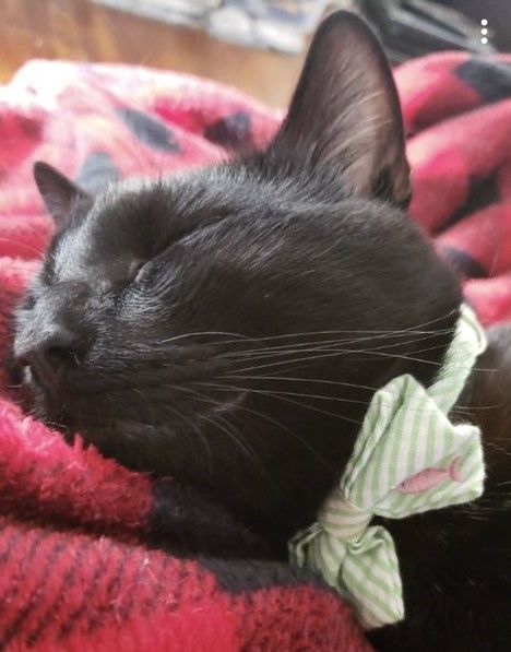 Eric Janise | MovieWeb